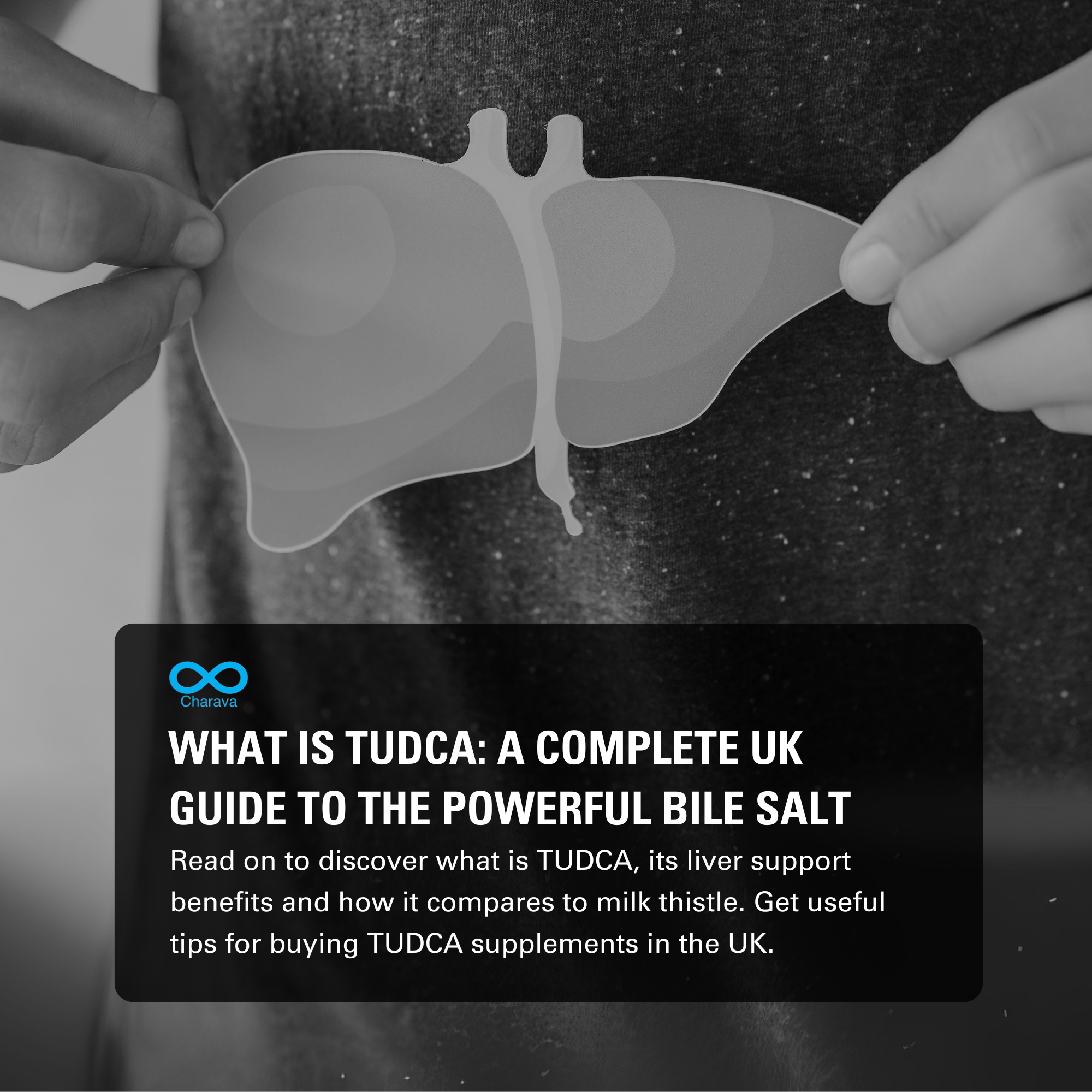 What is TUDCA: A Complete UK Guide to the Powerful Bile Salt